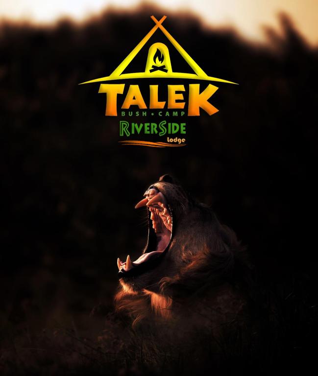 Talek Bush Camp , Masai Mara, Narok | 2024 Updated Prices, Deals