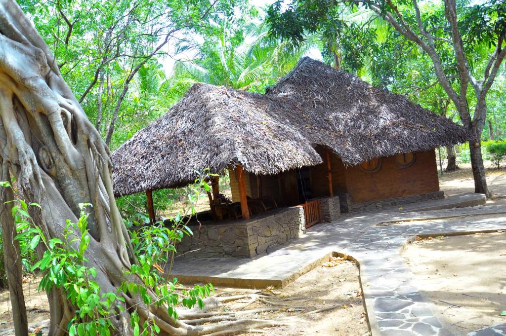 Kottawatta Village, Udawalawe | 2024 Updated Prices, Deals