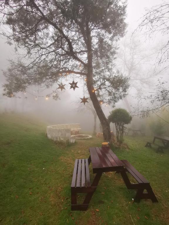 Luchita Mia Eco Cabanas Boutique, Samalayuca | 2024 Updated Prices, Deals