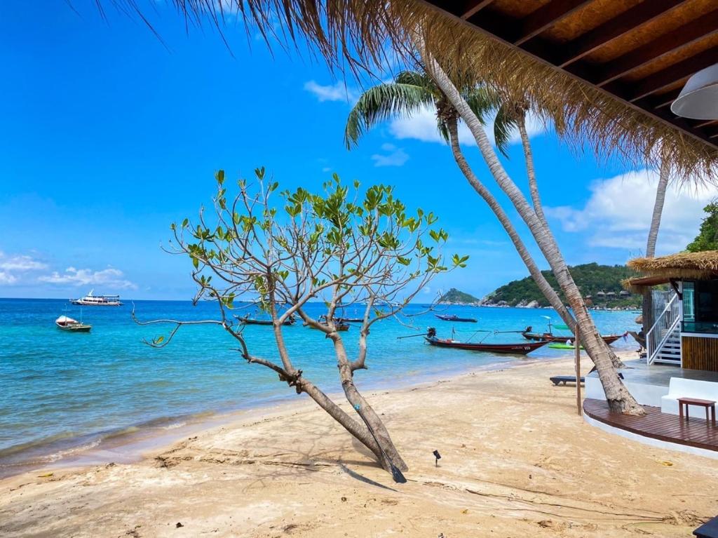 Wind Beach Resort, Ko Tao | 2024 Updated Prices, Deals