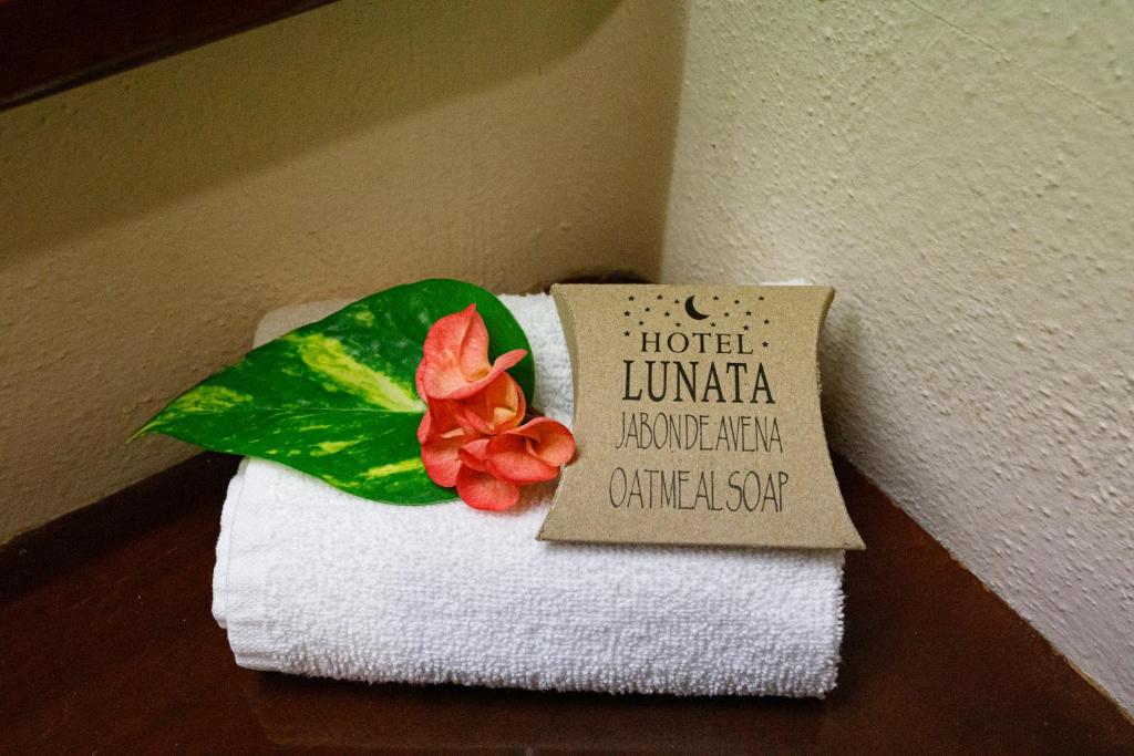 Hotel Lunata 5th. Avenue, Playa Del Carmen | 2024 Updated Prices, Deals