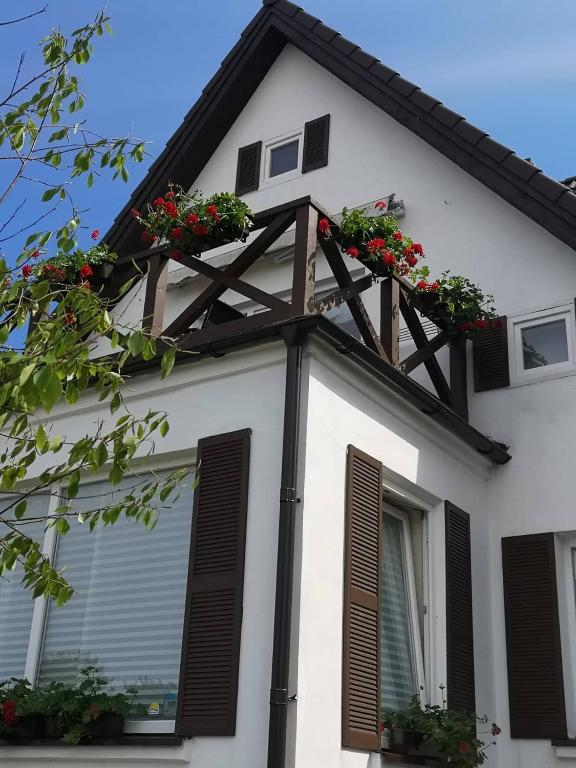 Inkaro Kiemelis Palanga Lietuva - didžiausios nuolaidos