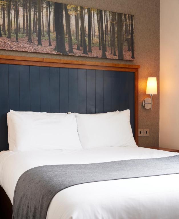 White Rabbit Hotel by Good Night Inns, Lyndhurst | 2024 Updated Prices ...