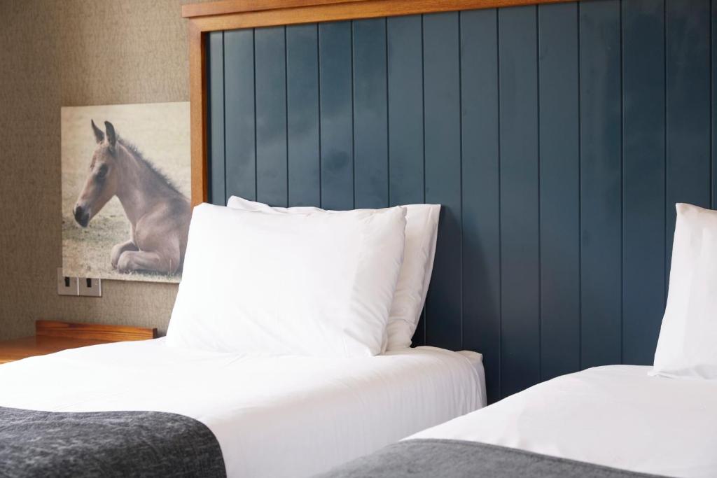 White Rabbit Hotel by Good Night Inns, Lyndhurst | 2024 Updated Prices ...