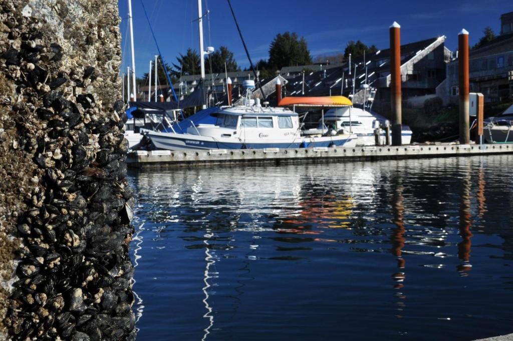 Embarcadero Resort, Newport (OR) | 2024 Updated Prices, Deals