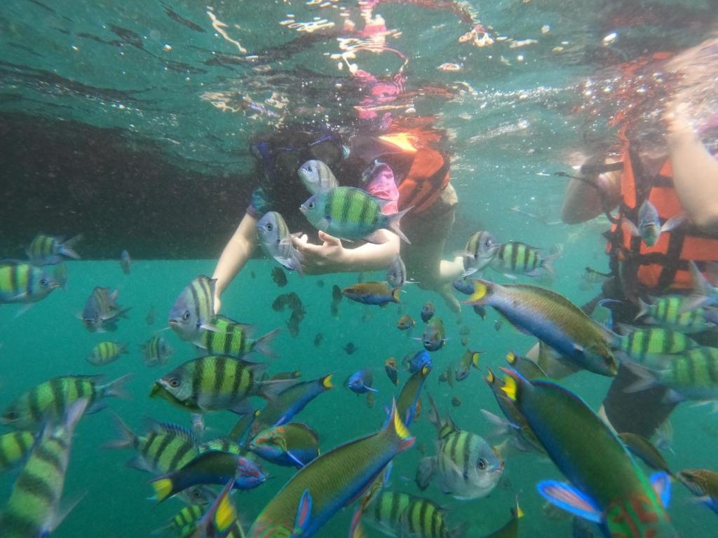 Z-Touch Lipe Island Resort, Ko Lipe | 2024 Updated Prices, Deals
