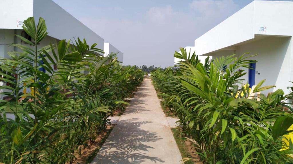 Riviera Beach Resort, Chirala, India - Photos, Room Rates & Promotions