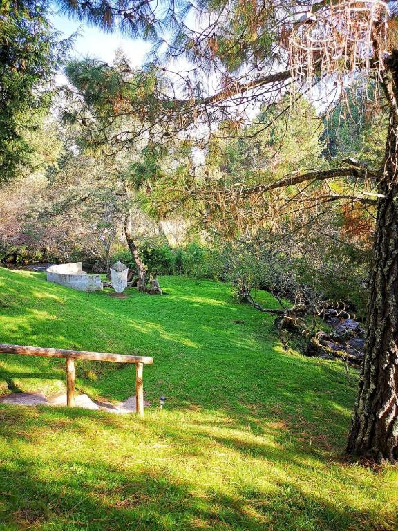 Luchita Mia Eco Cabanas Boutique, Samalayuca | 2024 Updated Prices, Deals