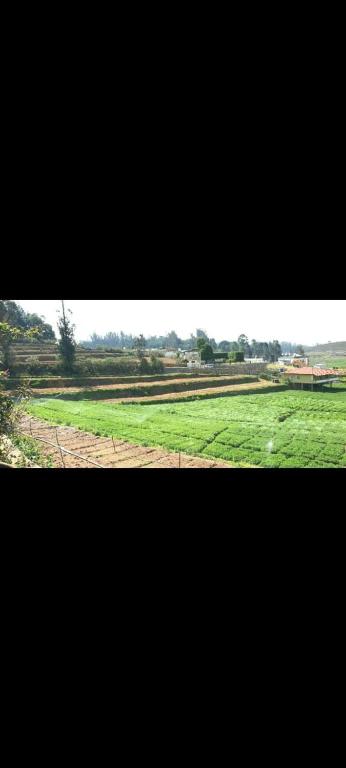 Neel's Farm House in Ooty, India - reviews, prices | Planet of Hotels