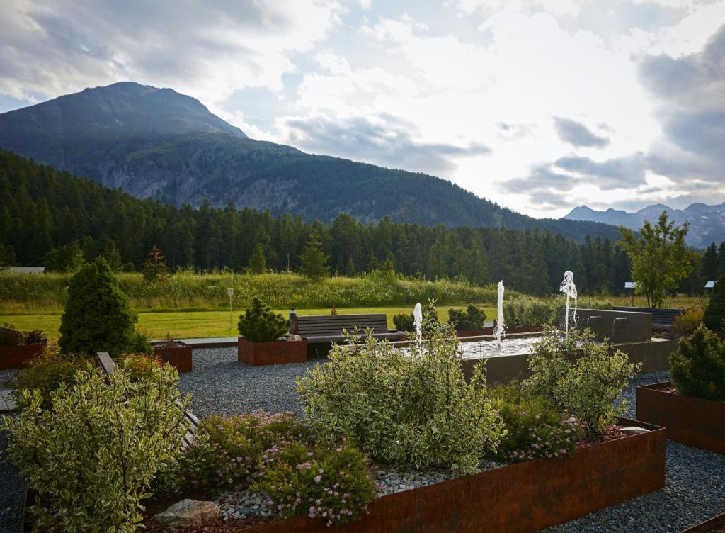 Hotel Steinbock Pontresina, Pontresina | 2024 Updated Prices, Deals