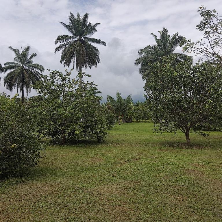 Casa de Amigos en Parrita, Costa Rica - opiniones, precios | Planet of ...