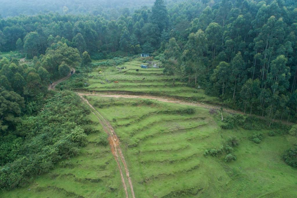 Anandavana Jungle Resort By Lexstays - Kanthalloor-Marayur Hotel ...