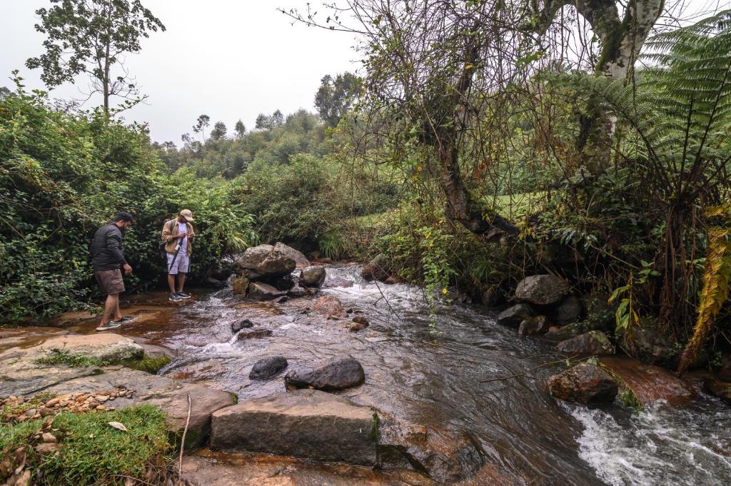 Anandavana Jungle Resort By Lexstays - Kanthalloor-Marayur Hotel ...