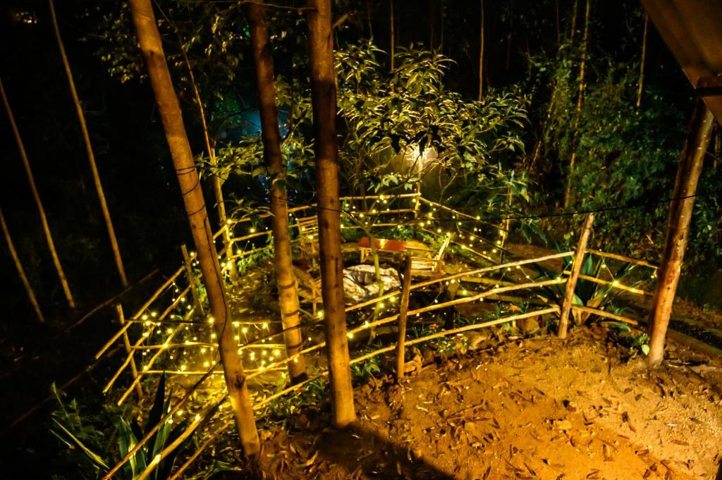 Anandavana Jungle Resort By Lexstays - Kanthalloor-Marayur Hotel ...