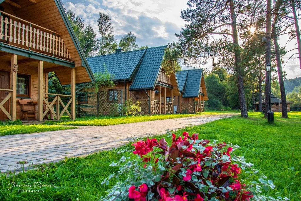 Domki nad Ripką, Villaggio turistico Wysowa-Zdrój