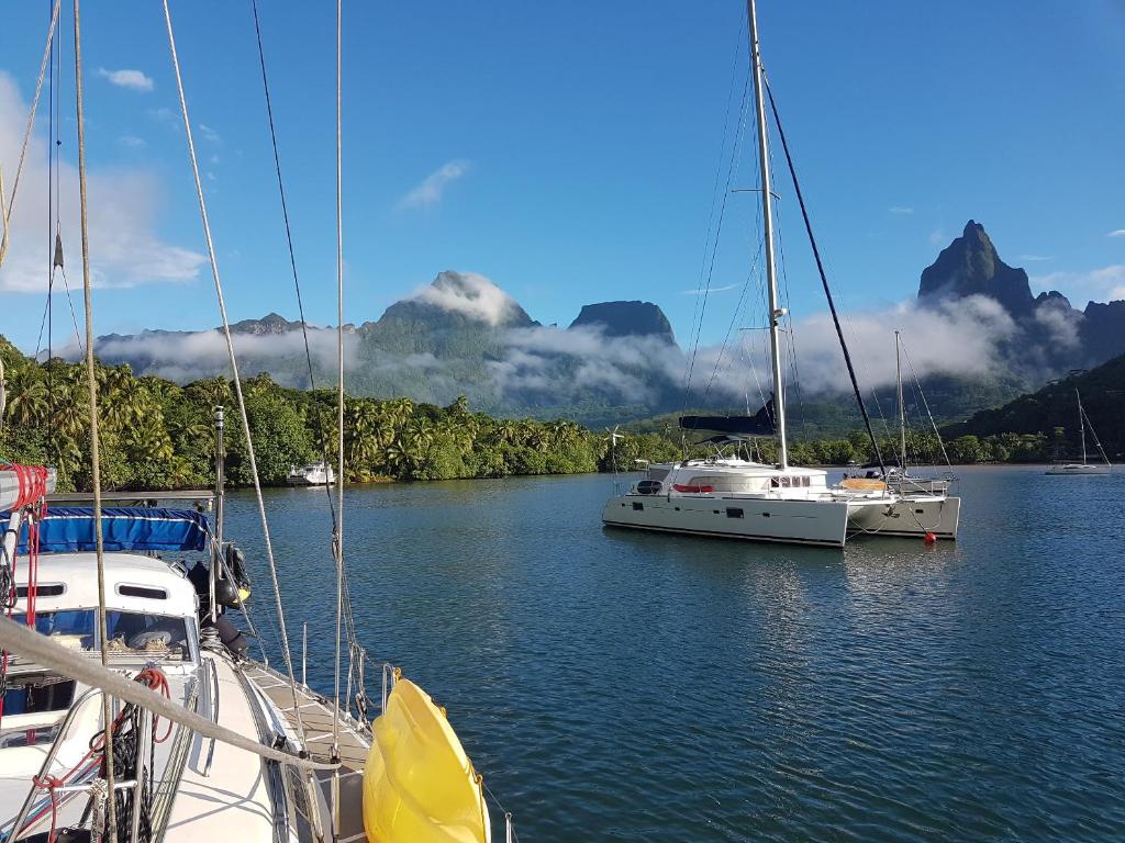 From $40pp - 2 nuits insolites & 1 excursion voile à bord du voilier ...