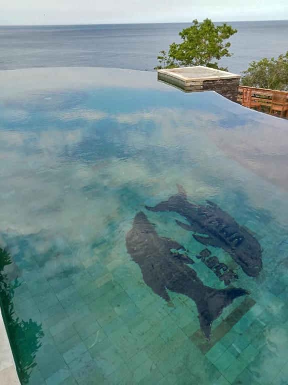 Wawa Wewe Rock Resort, Bali | 2024 Updated Prices, Deals