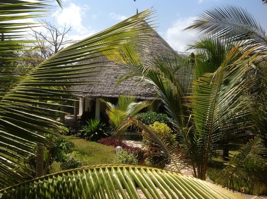 Luxury Simba House in Watamu [ ☆☆☆☆☆ ] up to 32% OFF - Book Now