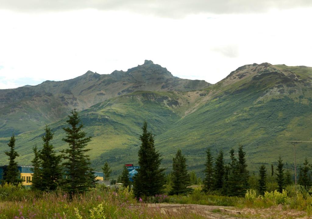 Denali Park Hotel, Healy (AK) | 2025 Updated Prices, Deals