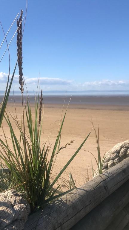 158 Holiday resort unity Brean. Centrally located Resort passes ...