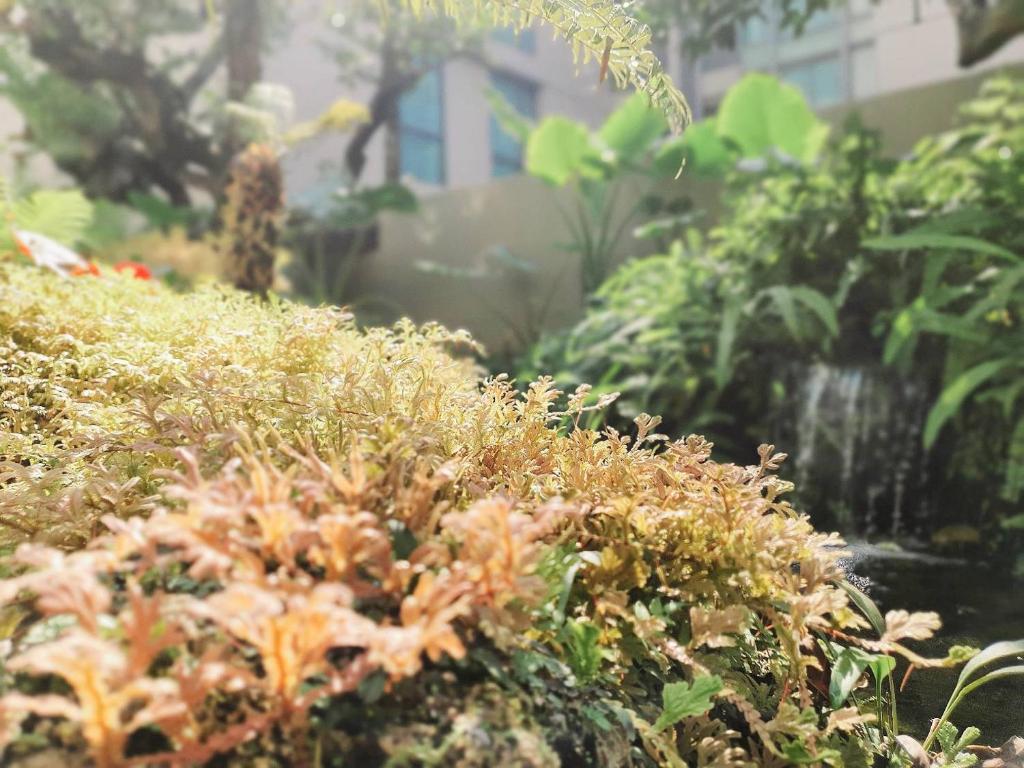 ANA PARK Chiang Mai - อัปเดตราคาล่าสุด