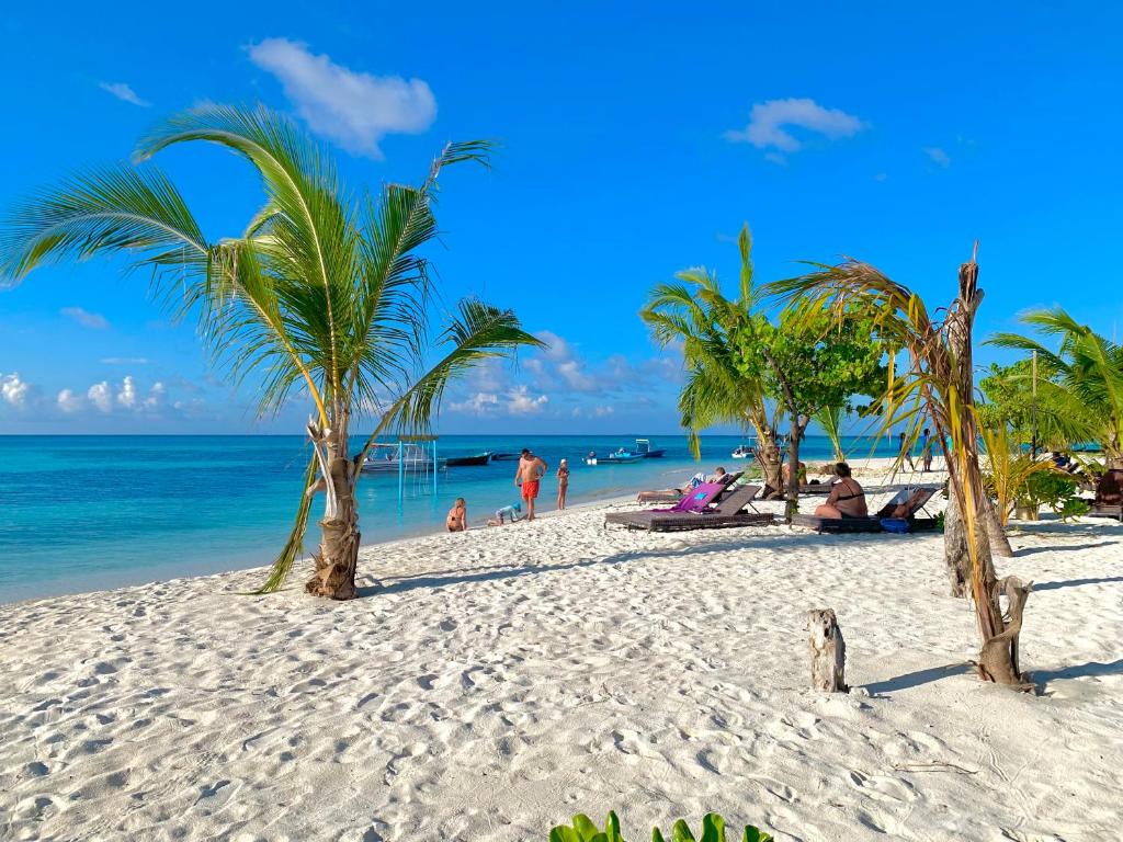 Koimala Hotel, Maldive Islands | 2024 Updated Prices, Deals