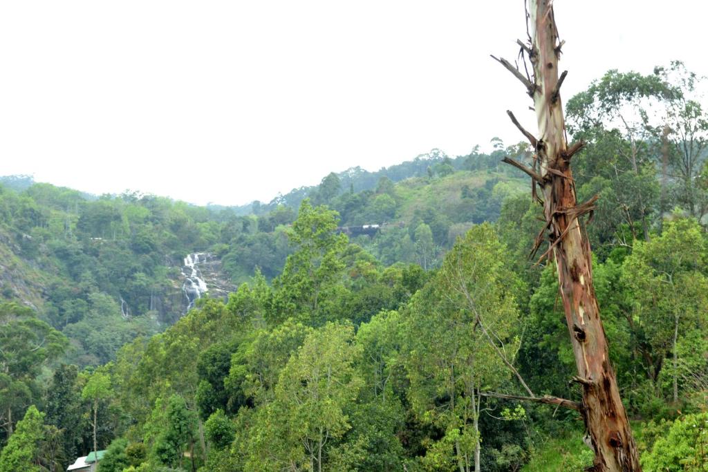 Chamodya Home Stay, Ella - Booking Deals, Photos & Reviews