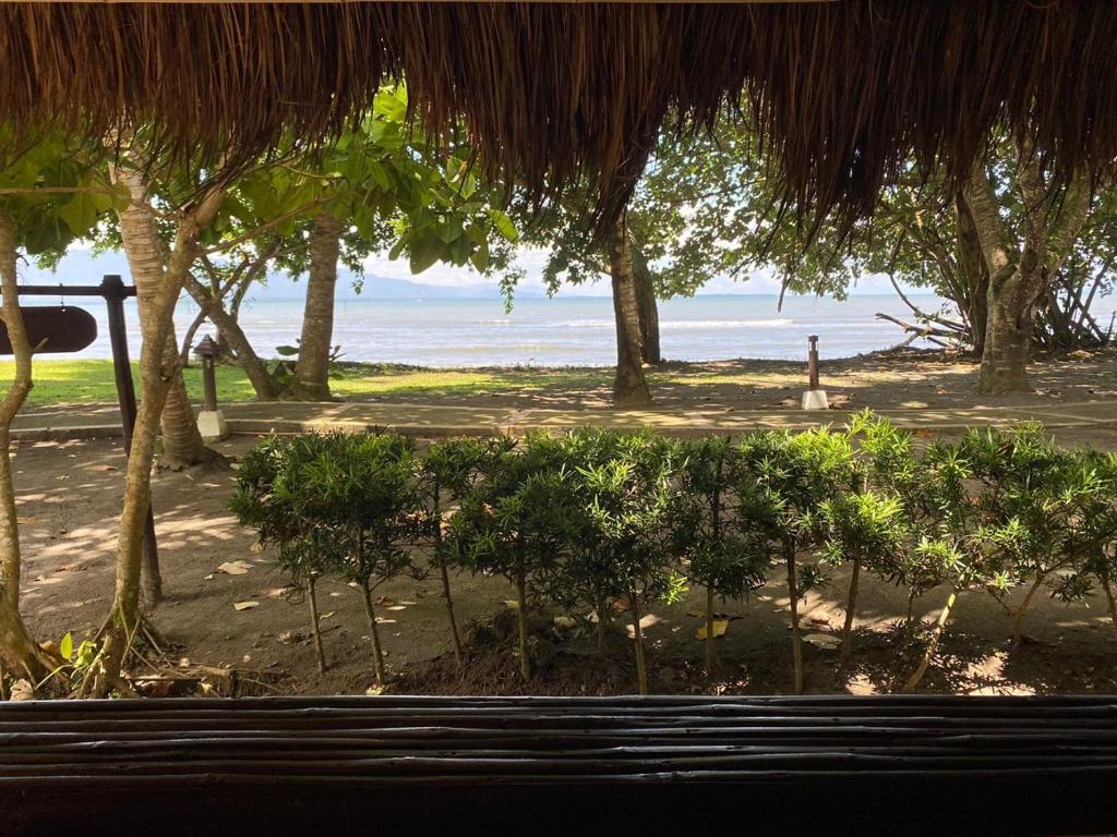 Hijo Resorts Davao, Tagum | 2024 Updated Prices, Deals