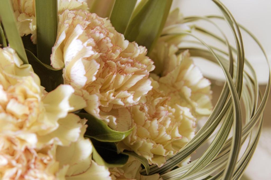 The Oracle Hotel & Residences, Manila | 2024 Updated Prices, Deals