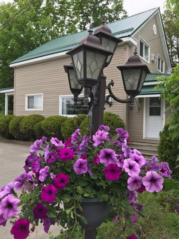 Winsome Inn | Saint Stephen (NB) 2020 UPDATED DEALS, HD Photos & Reviews