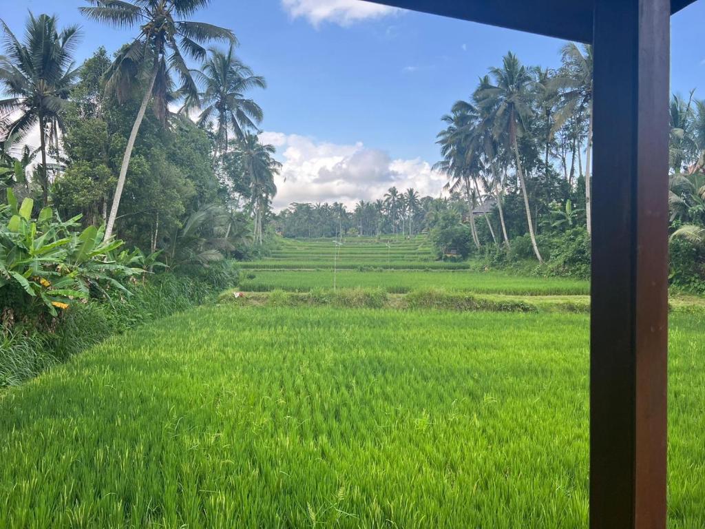 Ubud Sawah Homestay, Bali | 2024 Updated Prices, Deals