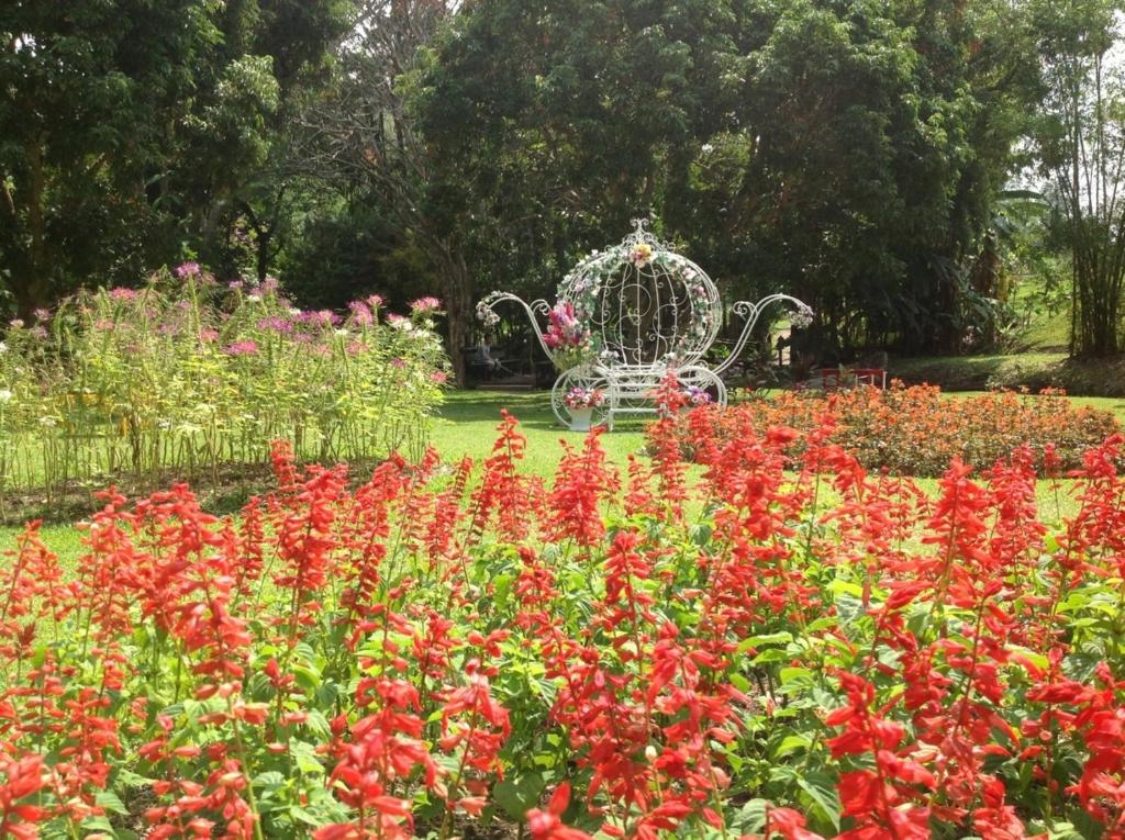 Mae Sa Valley Garden Resort, Chiang Mai | 2024 Updated Prices, Deals