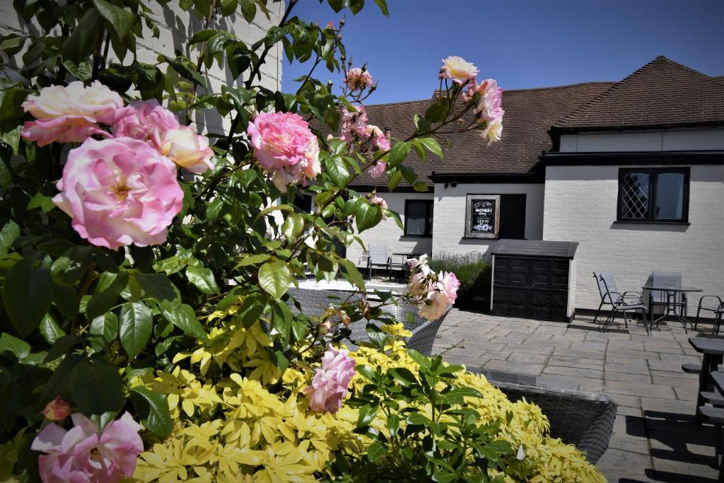 The Stag Rooms | Cotswolds Guide