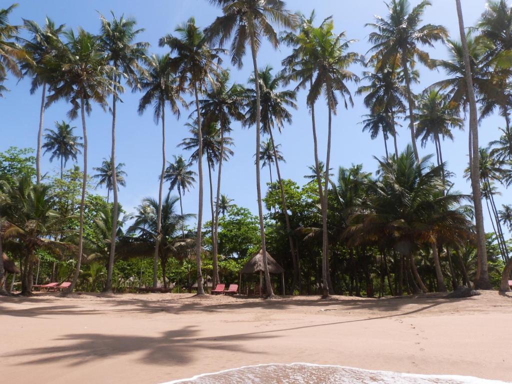 Ankobra Beach Resort, Takoradi | 2024 Updated Prices, Deals