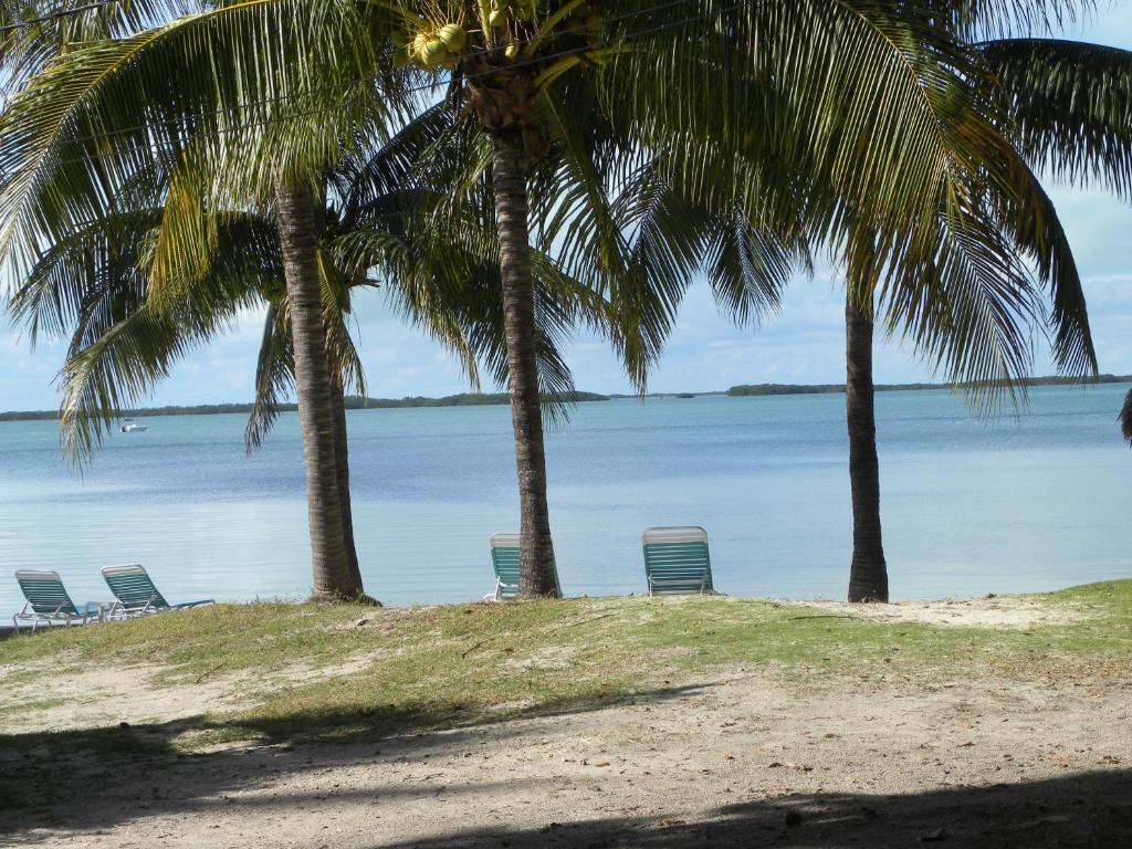 Rock Reef Resort, Key Largo (FL) | 2024 Updated Prices, Deals