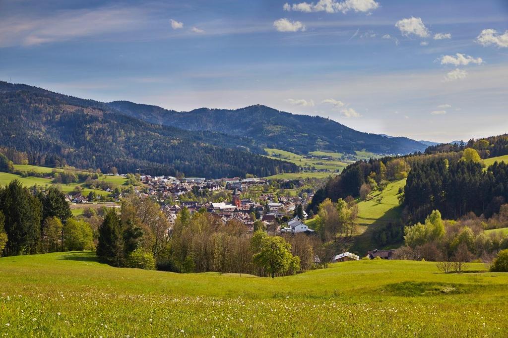 ElzLand Hotel 9 Linden, Elzach, Germany - Photos, Room Rates & Promotions