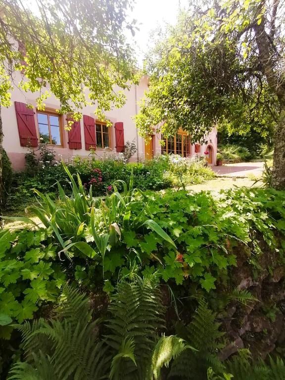 Maison charmante dans le village de Taintrux avec jardin, Maison de ...