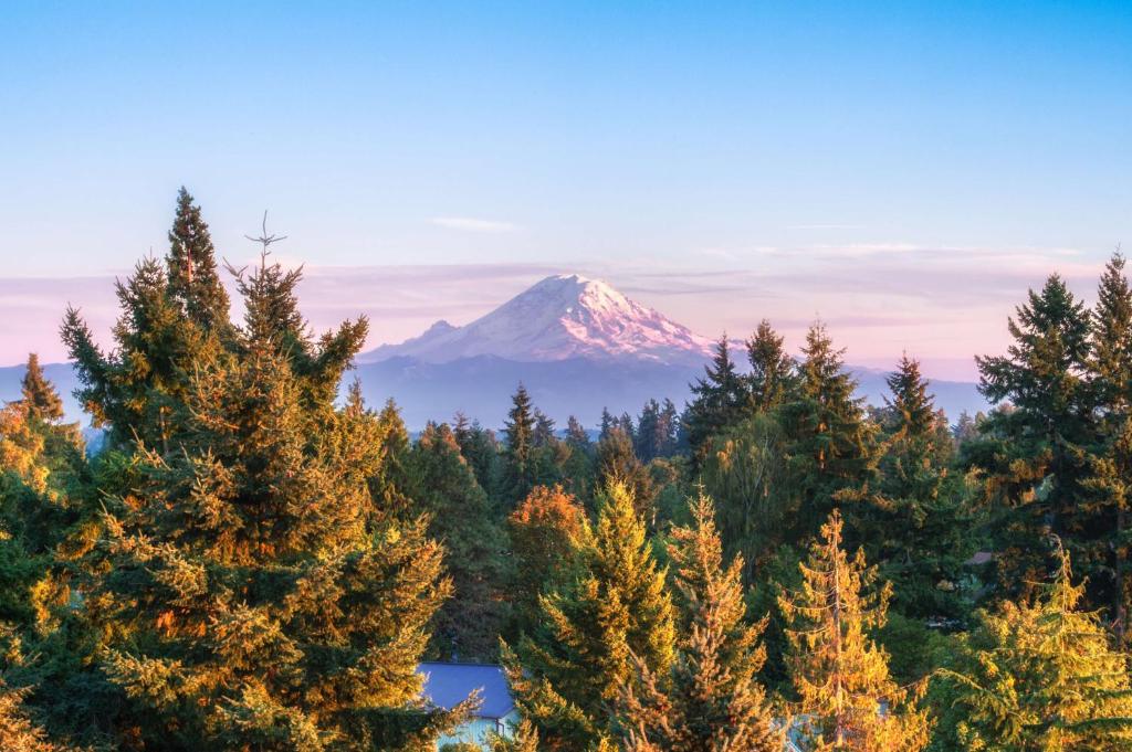 DoubleTree by Hilton Hotel Seattle Airport | Updated Rates 2024