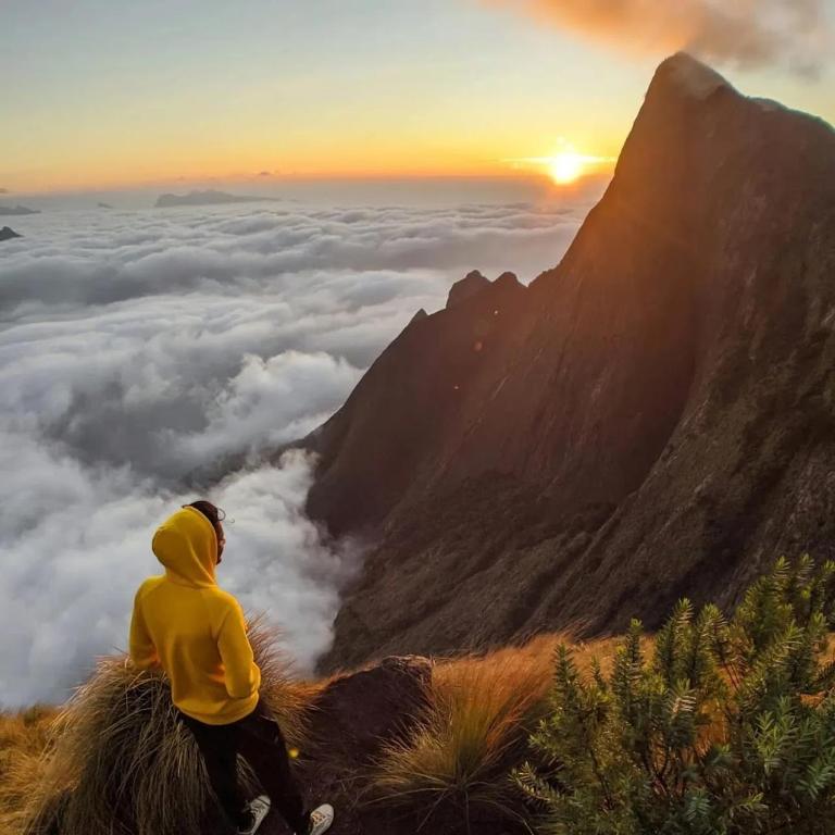 Kolukkumalai Sunrise Valley in Suryanelli, India - reviews, prices ...