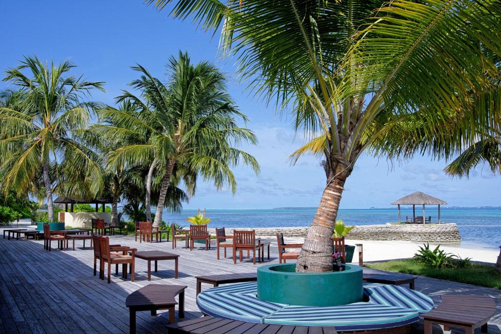 Canareef Resort Maldives, Maldive Islands | 2024 Updated Prices, Deals