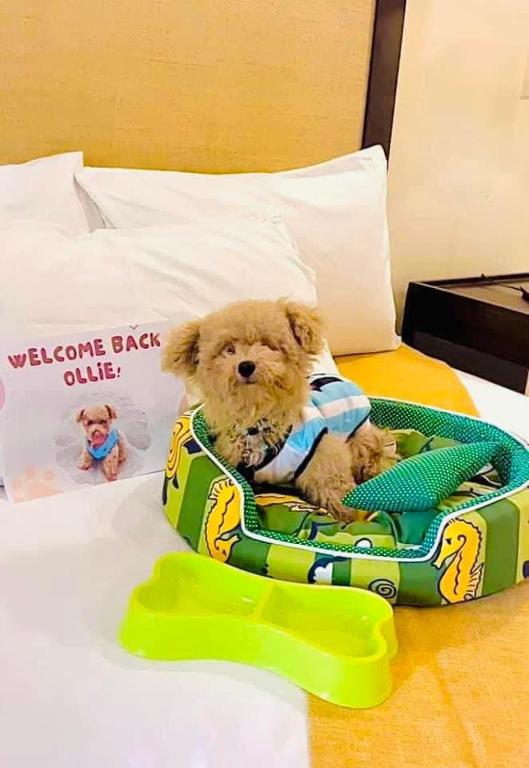 Subic Grand Seas Resort, Subic (Zambales) | 2024 Updated Prices, Deals