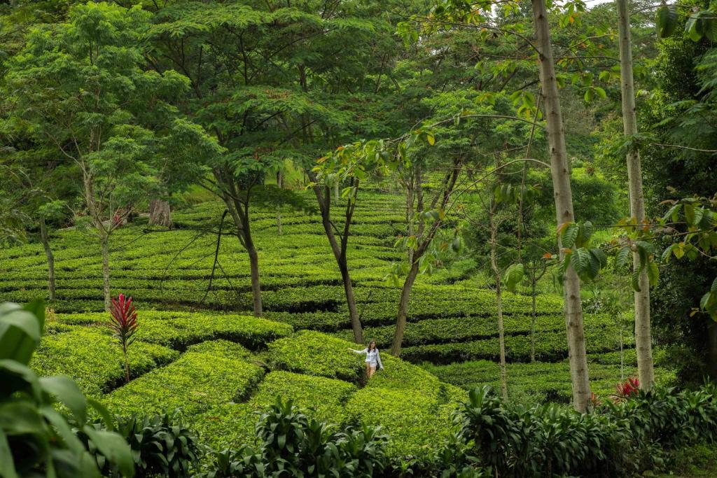 Novus Giri Resort & Spa, Puncak | 2024 Updated Prices, Deals