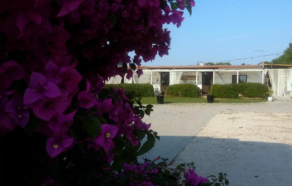 Mazzara Farm | Manduria 2024 UPDATED DEALS, HD Photos & Reviews