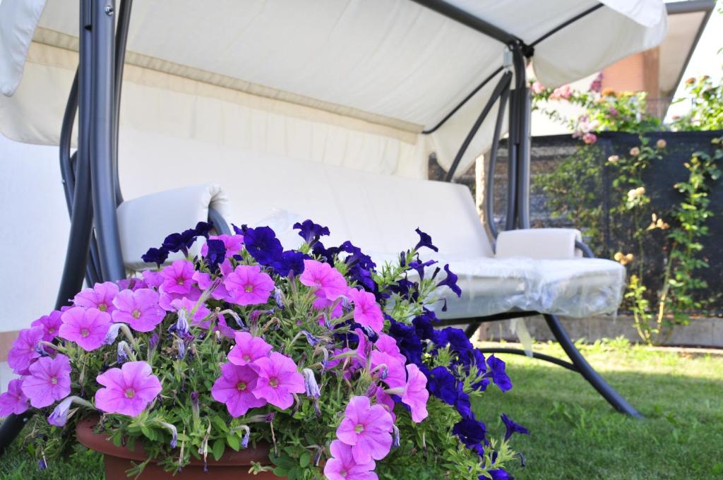 Best Price on Casablanca in Trebaseleghe + Reviews!