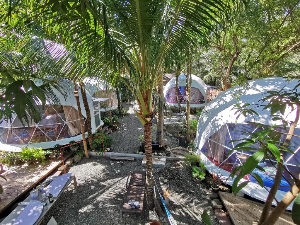 Beachfront Glamping Dome Dauin Bamboo Style from $14