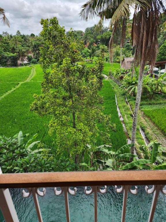 Motama Villa, Bali | 2024 Updated Prices, Deals
