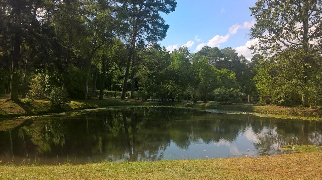 From €41pp - Gite meublé avec étang en lisière de forêt, Les Grandes ...