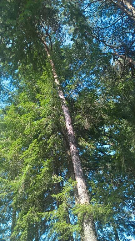 From €41pp - Gite meublé avec étang en lisière de forêt, Les Grandes ...