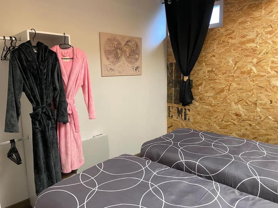 Appartement Logement-sauna-spa-Strasbourg-Colmar-Europa Park ...