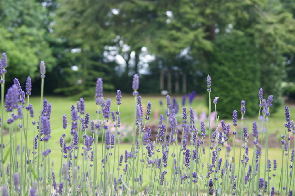 Old Rectory Hotel, Wem | 2024 Updated Prices, Deals
